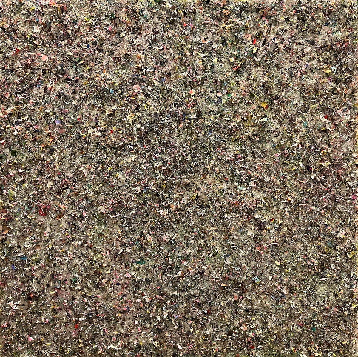 Remnants Reimagined – Chelsea Maria Bizub