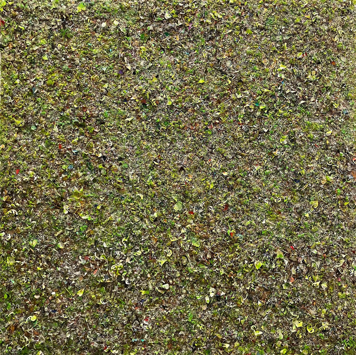 Remnants Regrowth – Chelsea Maria Bizub